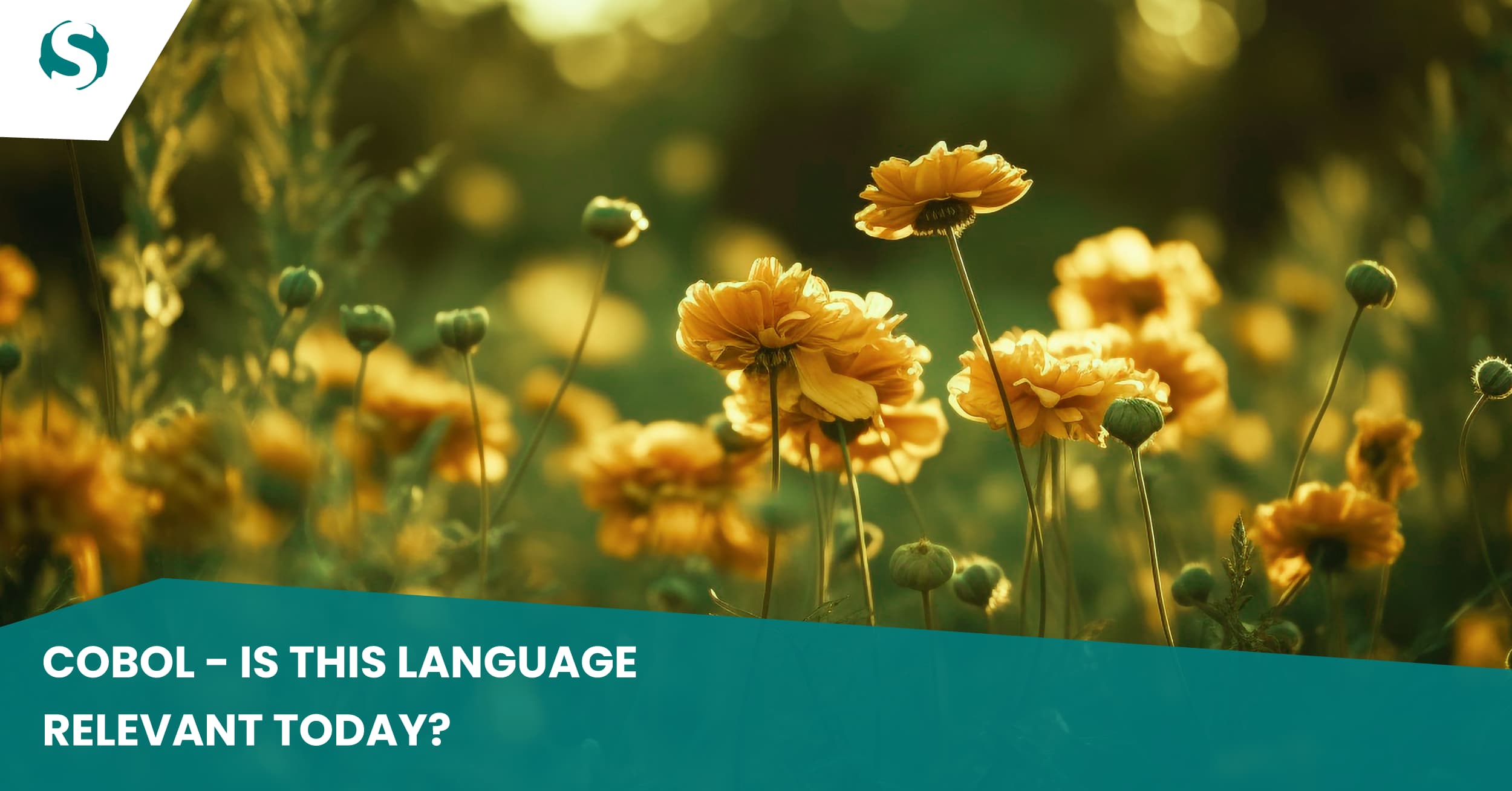 COBOL - Is this language relevant today? | Sysmatch