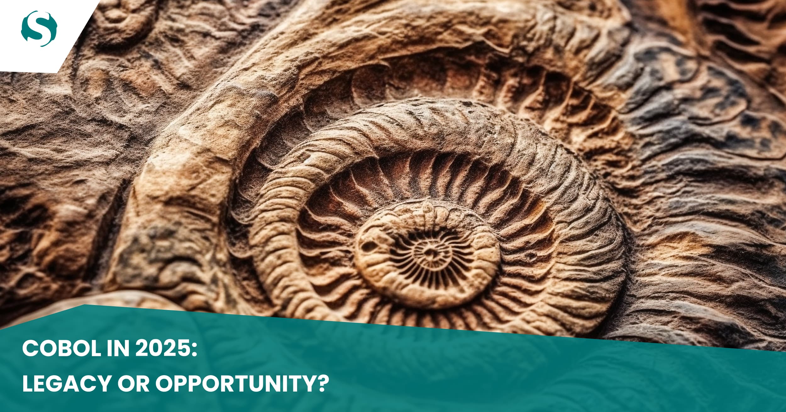 COBOL in 2025: Legacy or Opportunity? | Sysmatch